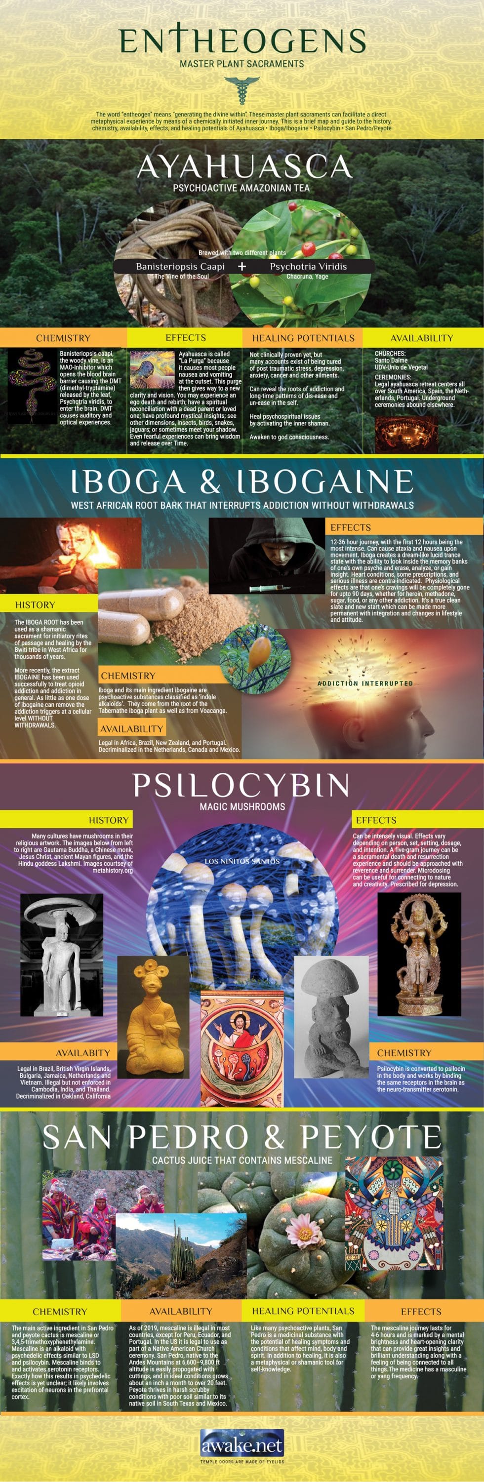 Entheogens: Master Plant Sacraments Poster | Iboga Saves: A Movie and a ...